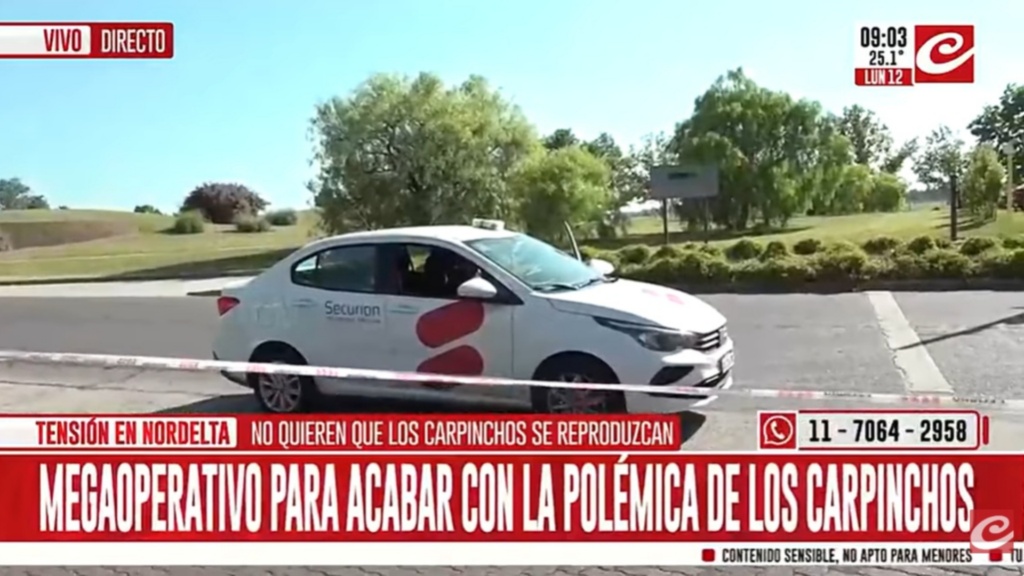 Tensión en Nordelta: polémica por el plan que se puso en marcha para ...